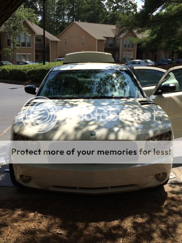 Gloss hash marks installed | Dodge Charger Forum