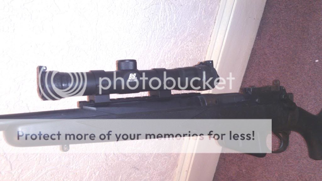 my lee enfield scout