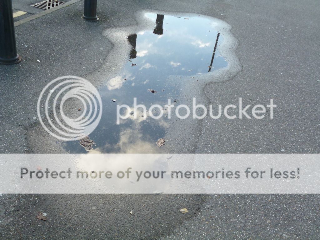 Photos, Rebirth | Notes from Project Dawn