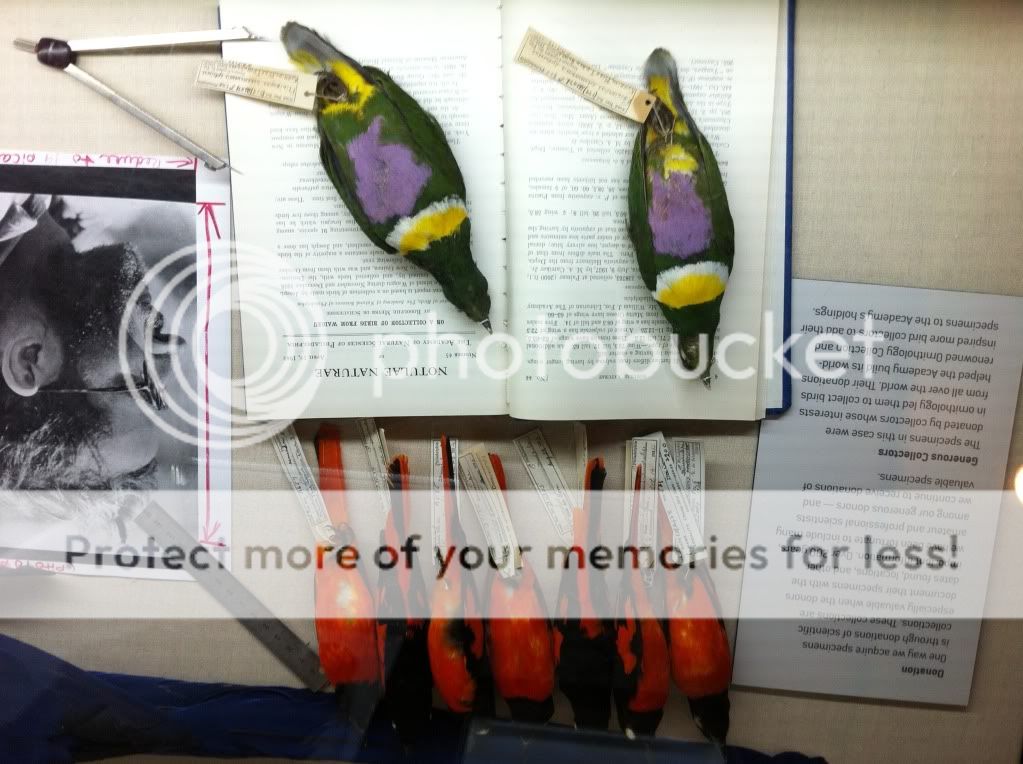 Paging: Secret Agent Edwin Rist - Drake Magazine Online