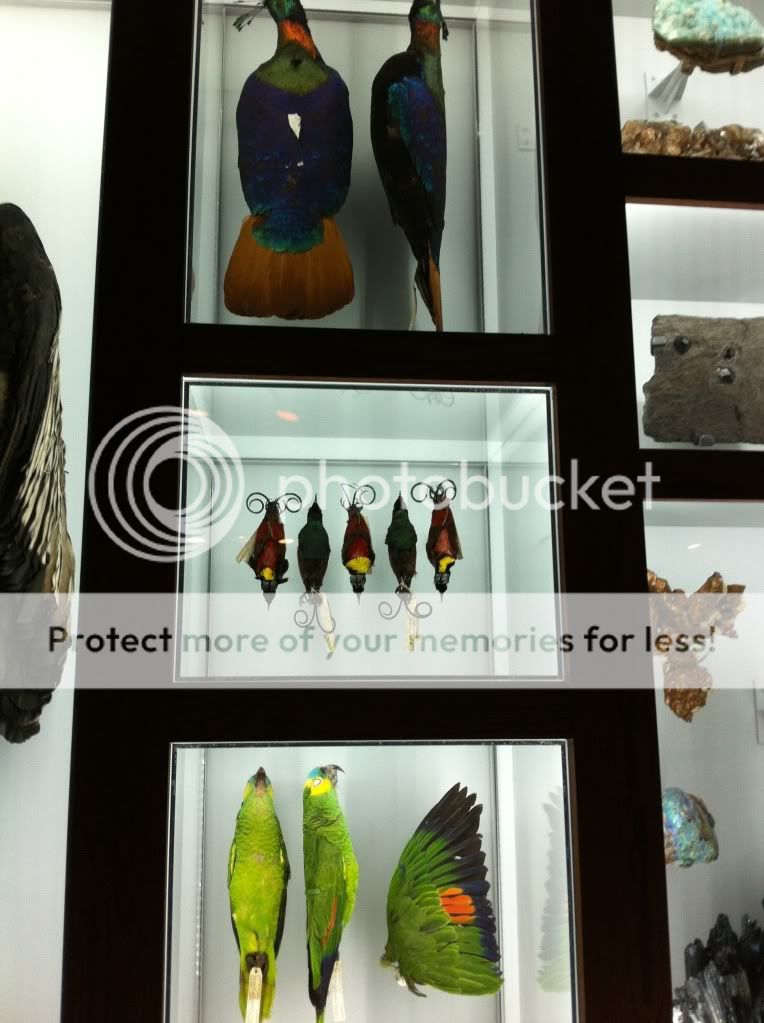 Paging: Secret Agent Edwin Rist - Drake Magazine Online