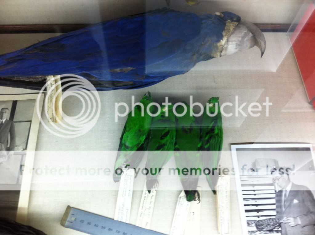 Paging: Secret Agent Edwin Rist - Drake Magazine Online