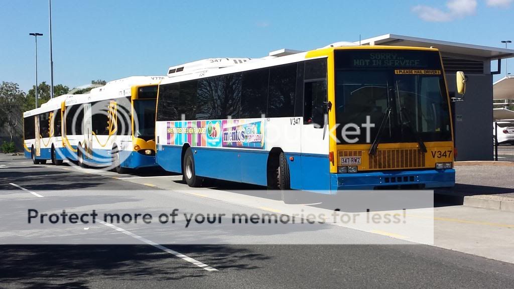 Pics of buses from Brisbane and Outer Suburbs.